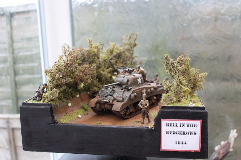 Hell in the Hedgerows 1944 - Diorama Chat - Britmodeller.com