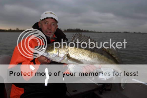 European Walleye. | ChicagoLand Fishing Forums