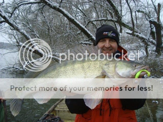 European Walleye. | ChicagoLand Fishing Forums