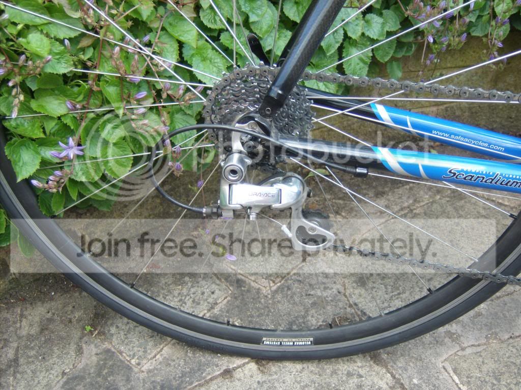 2005 Salsa Campeon Scandium, NOW SPLITTING | Retrobike