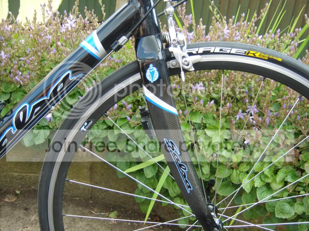 2005 Salsa Campeon Scandium, NOW SPLITTING | Retrobike