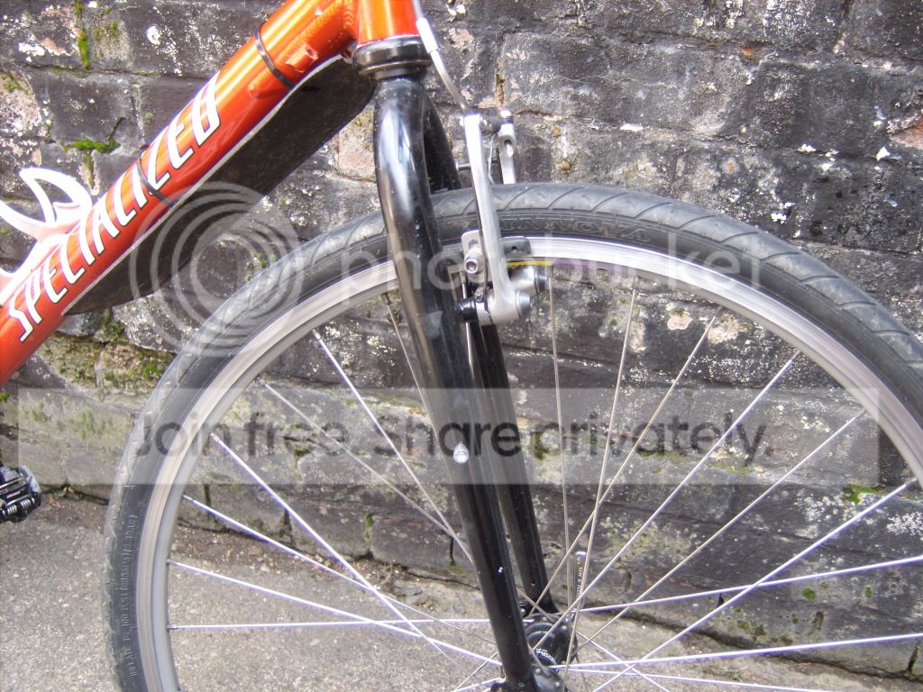 Bike Split - Retro, Modern, Road | Retrobike