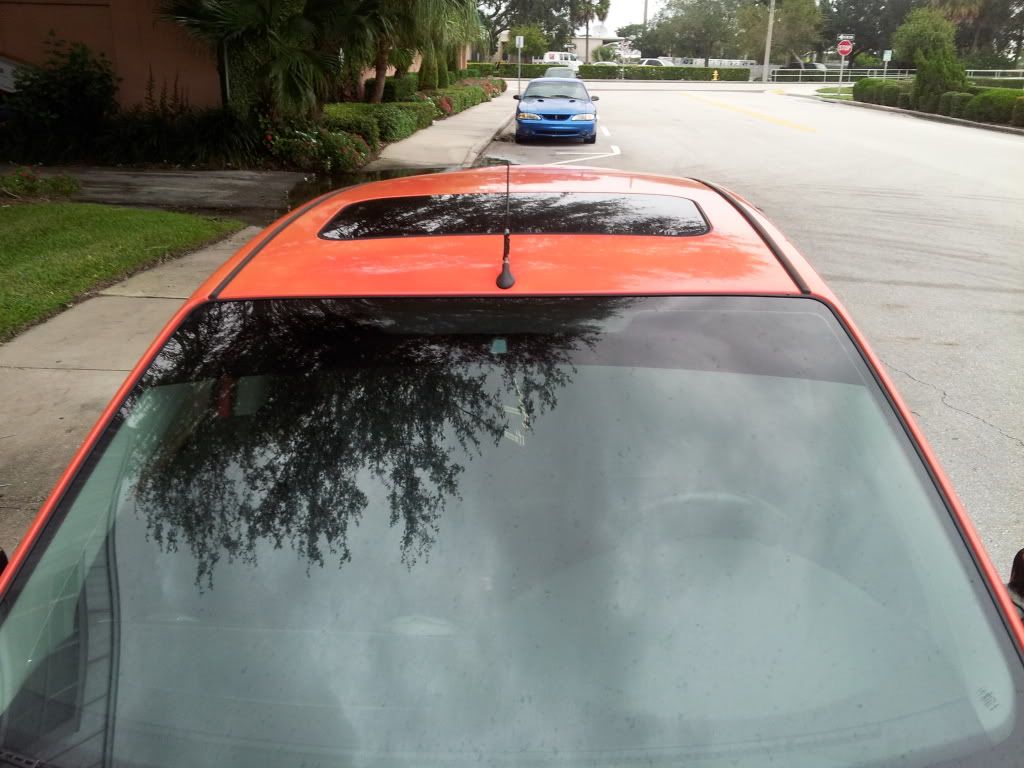2004 SvT 5 door EAP Comp. Orange | Focus Fanatics Forum