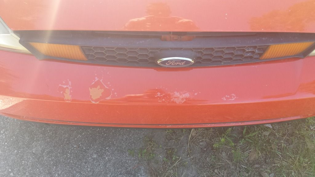2004 SvT 5 door EAP Comp. Orange | Focus Fanatics Forum